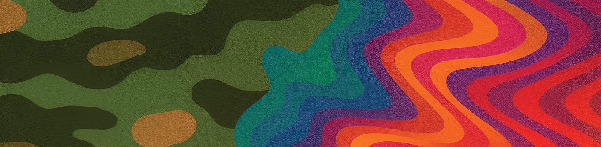 Veteran Psychedelic Field Manual - Heroic Hearts Project